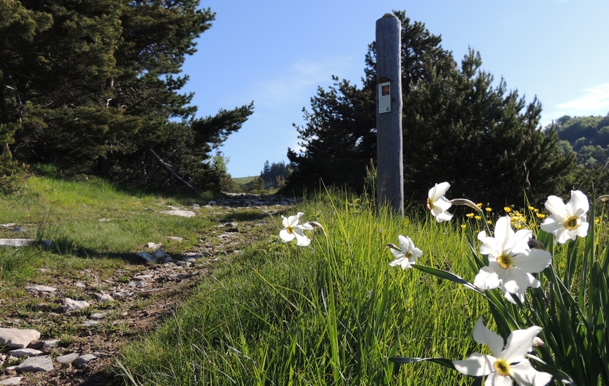 Sentier des planètes (version longue) - Rando Alpes de Haute-Provence